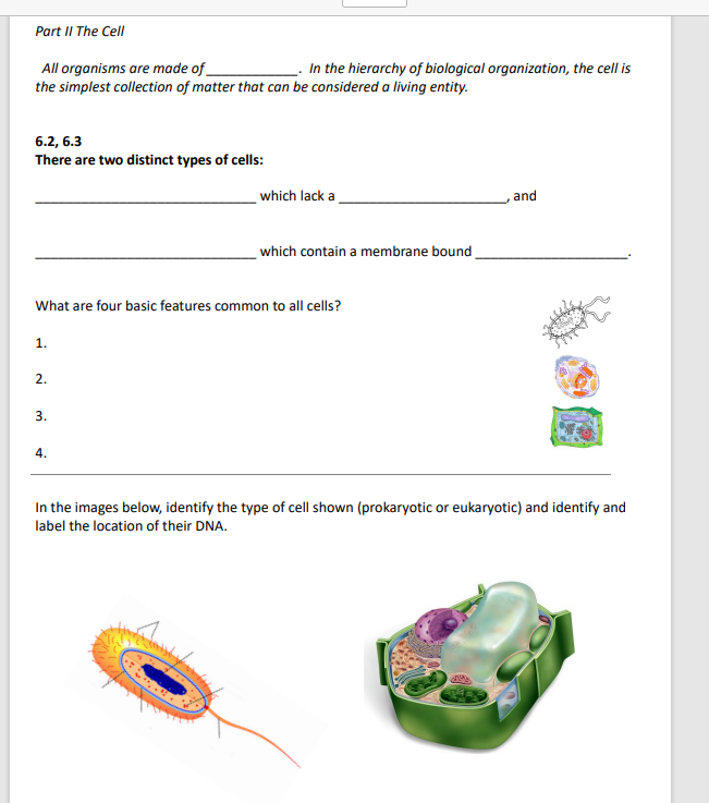 Solved All organisms are made of . In the hierarchy of | Chegg.com