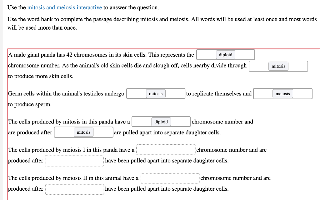 Solved Use the mitosis and meiosis interactive to answer the | Chegg.com