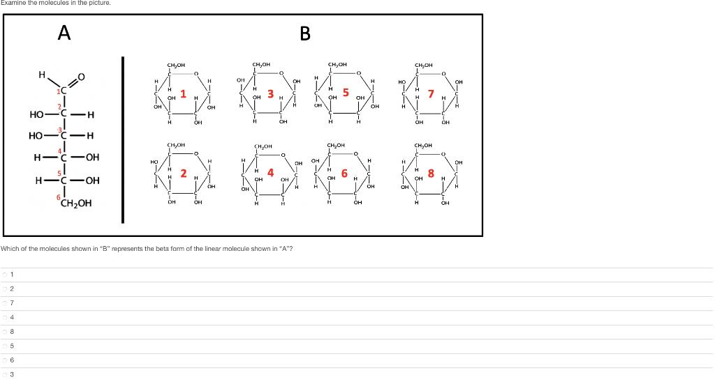 Solved Which of the molecules shown in "B" represents the | Chegg.com