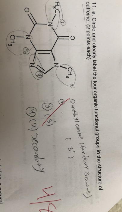 Caffeine Functional Groups Caffeine Functional Groups