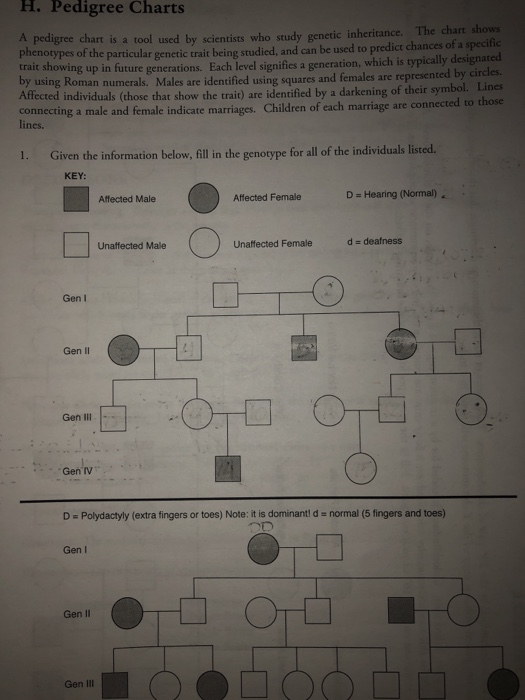 Solved H. Pedigree Charts A pedigree chart is a tool used by | Chegg.com