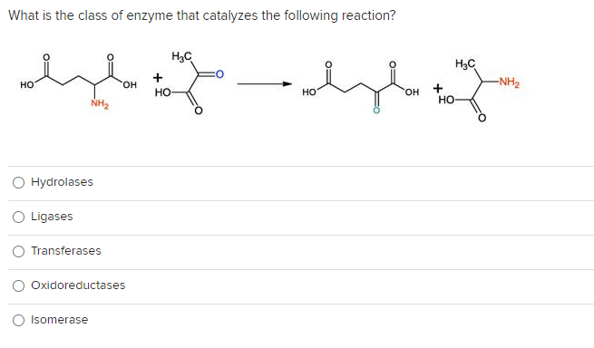 Solved What is the class of enzyme that catalyzes the | Chegg.com