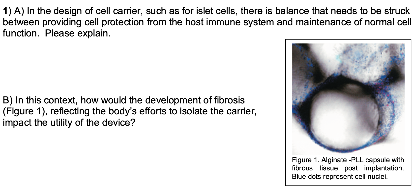 Solved 1) A) In the design of cell carrier, such as for | Chegg.com