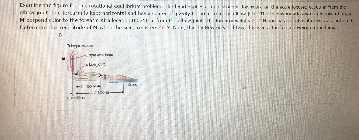 Solved Examine the figure for this rotational equilibrium | Chegg.com