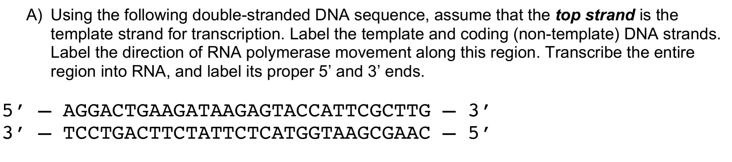 Solved A) ﻿Using the following double-stranded DNA sequence, | Chegg.com