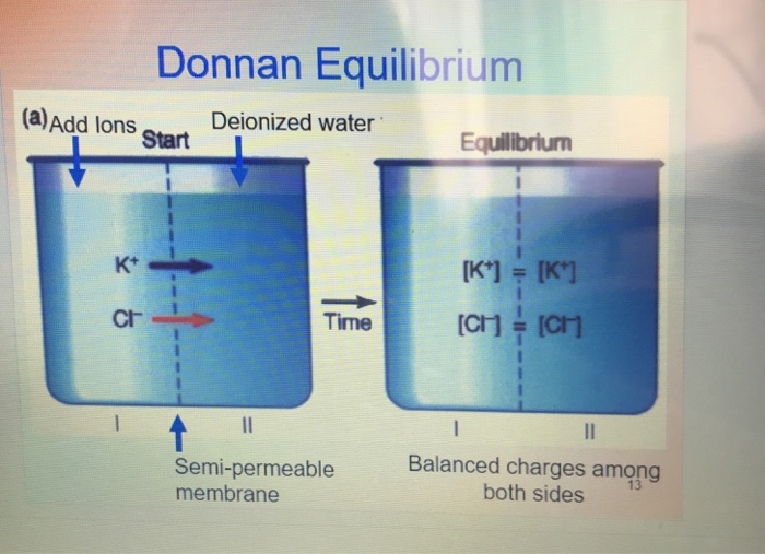 Solved Donnan Equilibrium (a Add lons start Deionized water | Chegg.com