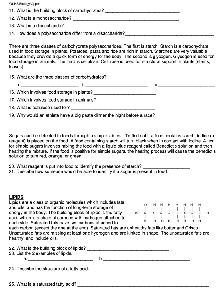 Solved Biomolecule Review Worksheet ORGANIC MOLECULES Chegg