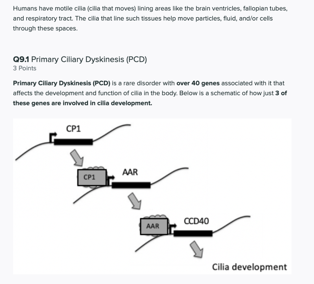 Solved Humans have motile cilia (cilia that moves) lining | Chegg.com