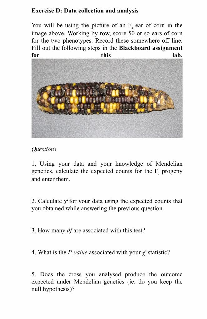Solved Exercise D: Data collection and analysis You will be | Chegg.com