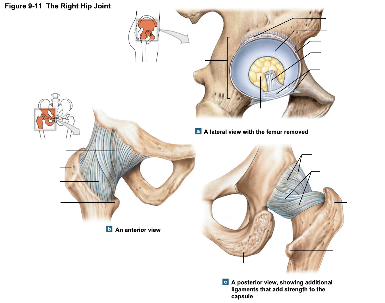 Figure 9-12 The Right Knon Inint Figure 9-12bd The | Chegg.com