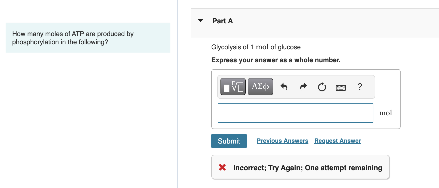 Solved How many moles of ATP are produced by phosphorylation | Chegg.com