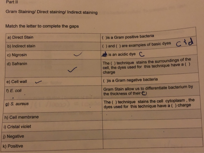 Solved Part Il Gram Staining/ Direct staining/ Indirect | Chegg.com