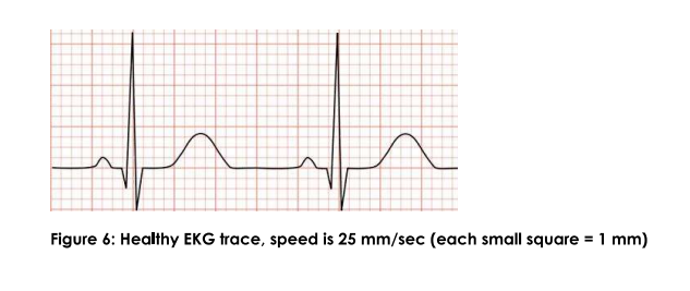 Solved Using the information that is provided in the | Chegg.com