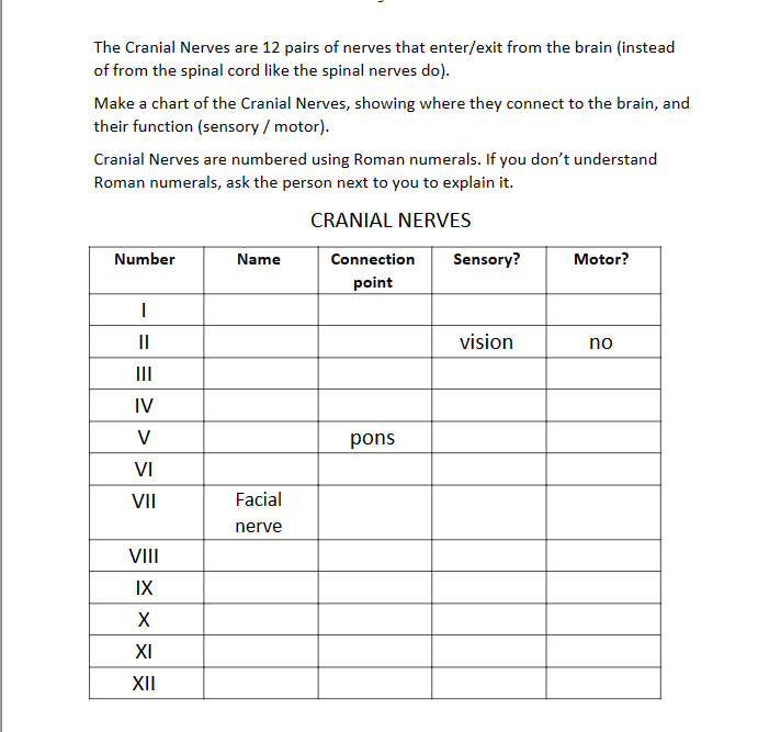 Solved The Cranial Nerves are 12 pairs of nerves that | Chegg.com