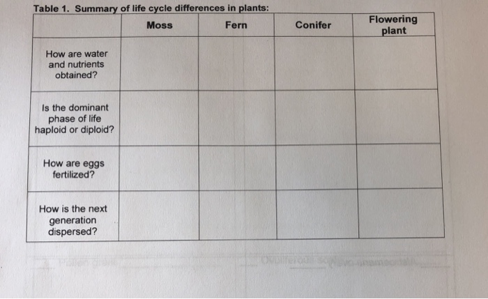 Solved Table 1. Summary of life cycle differences in plants: | Chegg.com