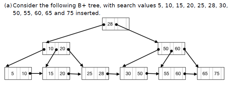 Solved Draw the structure of the B+ tree at each stage after | Chegg.com