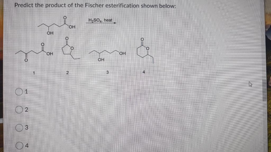 Solved Predict the product of the Fischer esterification | Chegg.com