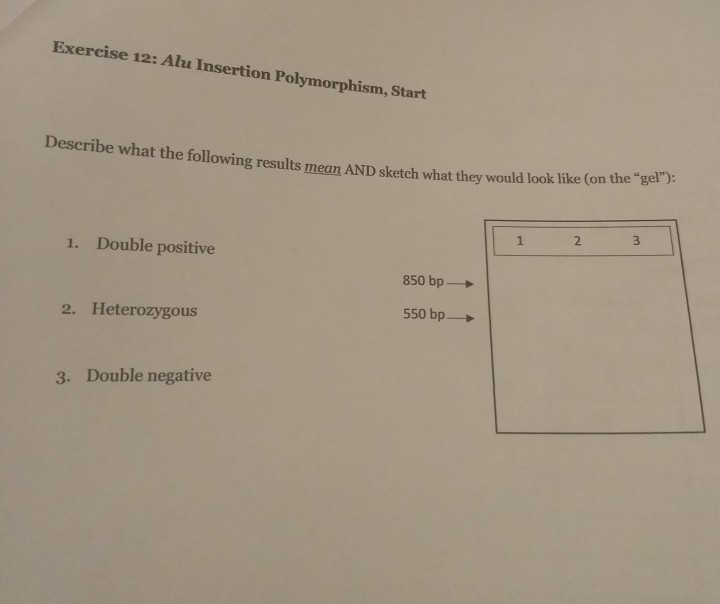 Solved Exercise 12 Alu Insertion Polymorphism Start 