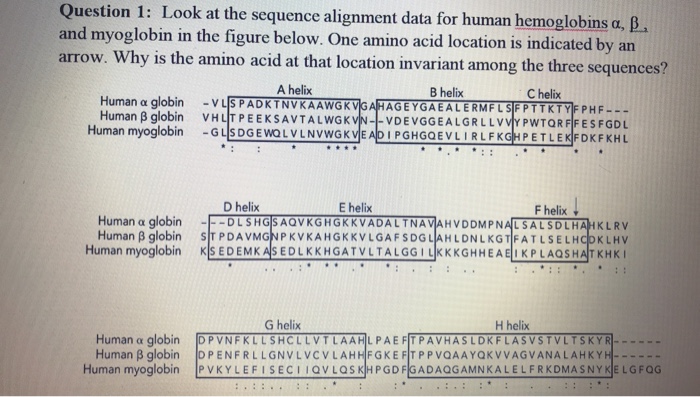 Solved Question 1: Look at the sequence alignment data for | Chegg.com