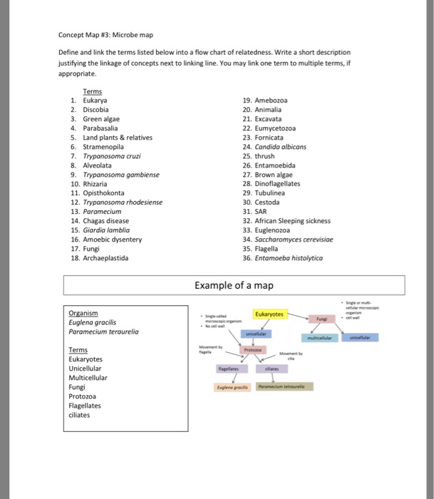 Solved Concept Map #3: Microbe map Define and link the terms | Chegg.com