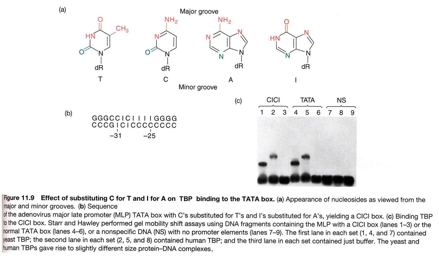 Solved The figure shown below presents an analysis of TBP | Chegg.com