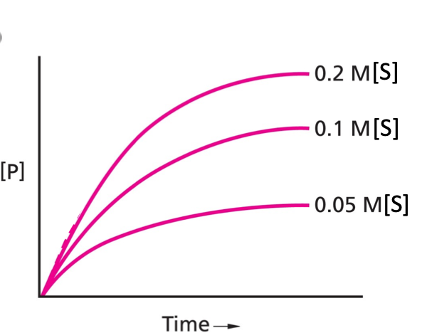 Solved Typical activity curves of enzymes that are analyzed | Chegg.com