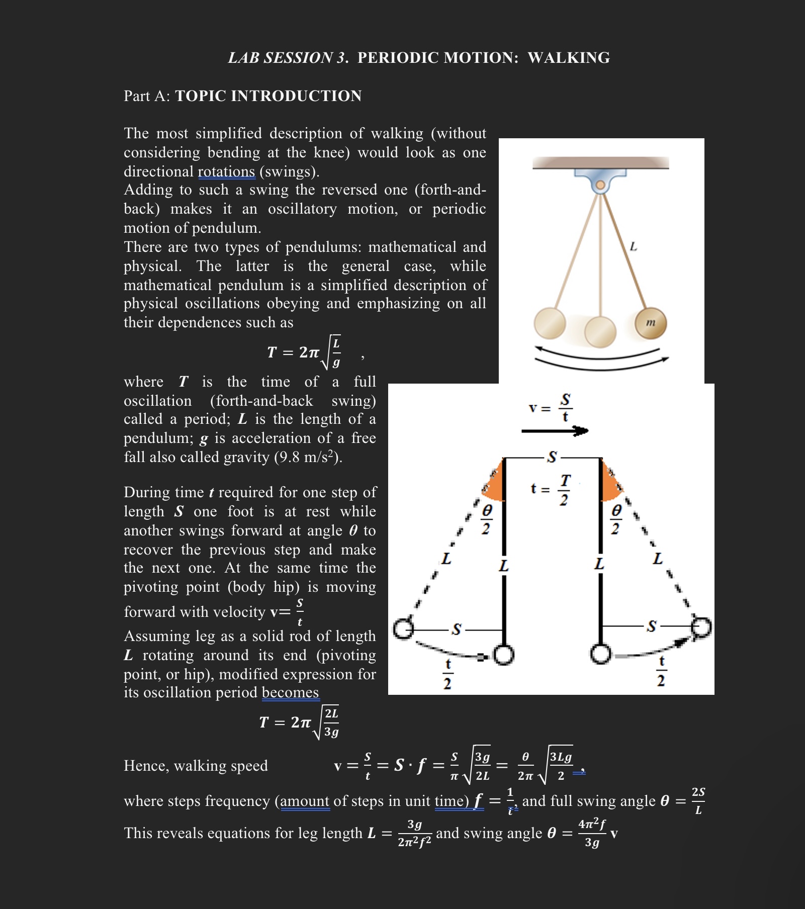 LAB SESSION 3. PERIODIC MOTION: WALKING Part A: TOPIC | Chegg.com