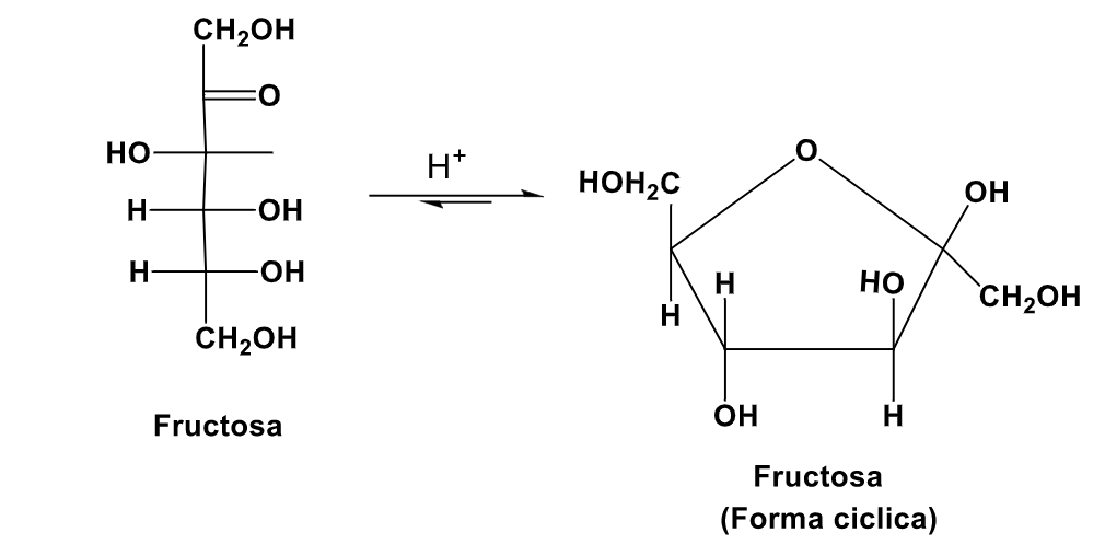 Solved Propose a mechanism for cyclization if acid catalysis | Chegg.com