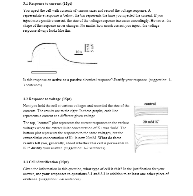 Solved **Please answer question 3.3 using the information | Chegg.com