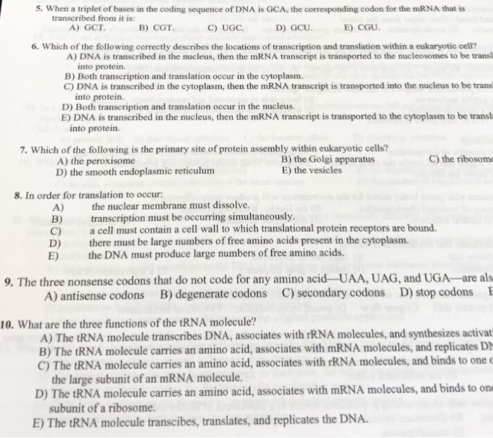 Solved When a triplet of bases in the coding sequence of DNA | Chegg.com