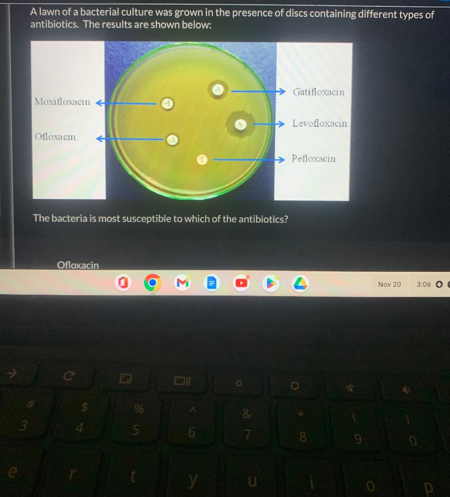 Solved A lawn of a bacterial culture was grown in the | Chegg.com