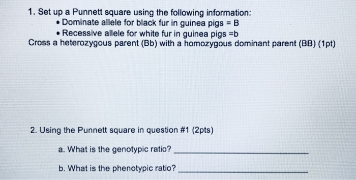 Solved 1. Set up a Punnett square using the following | Chegg.com