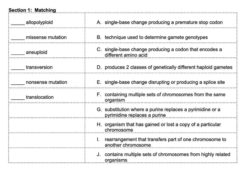 Solved Section 1: Matching allopolyploid A. single-base | Chegg.com