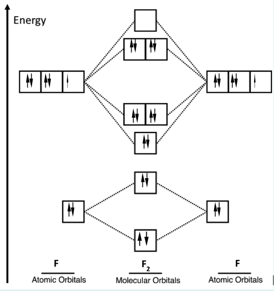 Solved The following question pertains to a homonuclear | Chegg.com