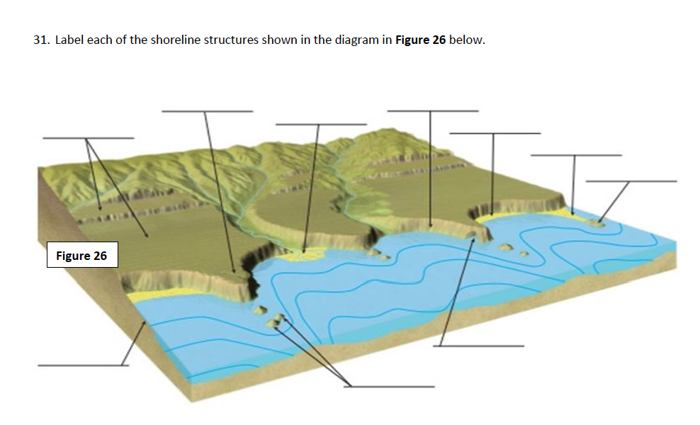 Solved 31. Label each of the shoreline structures shown in | Chegg.com