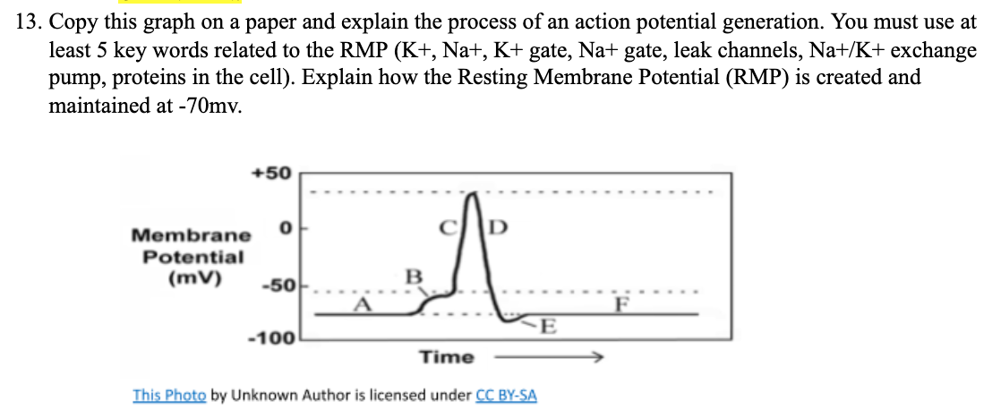 Solved 13. Copy this graph on a paper and explain the | Chegg.com