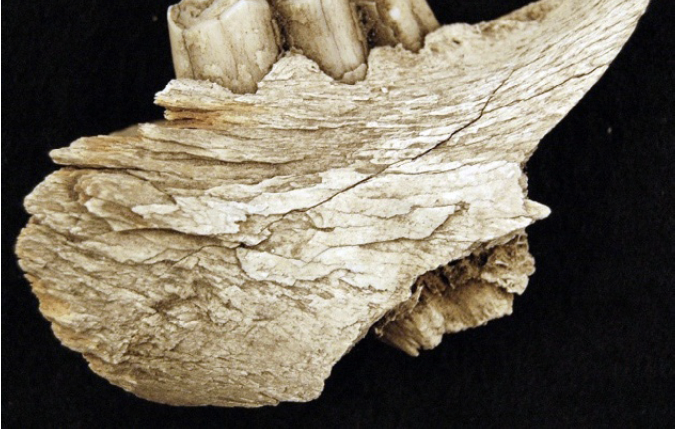 Solved WeatheringCase Scenario 1.Mountain climbers | Chegg.com