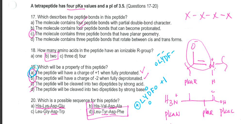 Solved A tetrapeptide has four pka values and a pl of 3.5. | Chegg.com