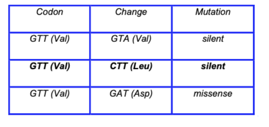 Solved The table below shows some single base codon | Chegg.com