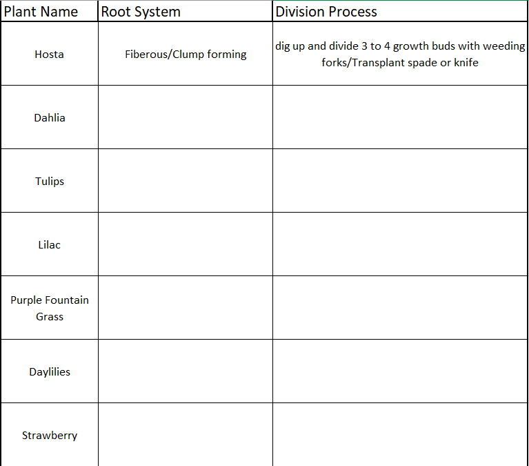 Solved Plant Name Root System Division Process Hosta | Chegg.com