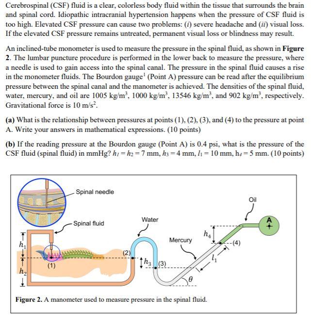 Solved Cerebrospinal (CSF) fluid is a clear, colorless body | Chegg.com