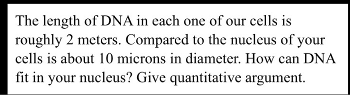 Solved The length of DNA in each one of our cells is roughly | Chegg.com