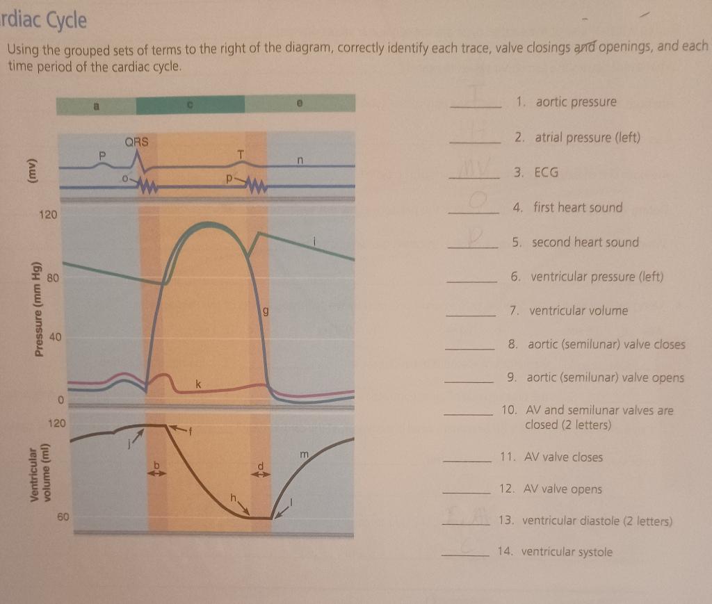 Solved Using The Grouped Sets Of Terms To The Right Of