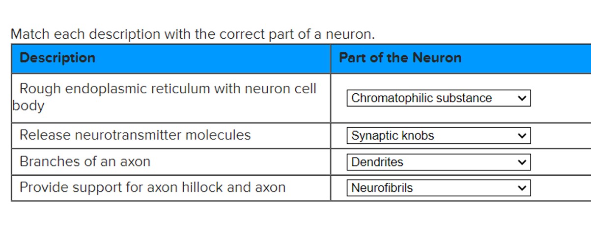 Solved Match each description with the correct part of a | Chegg.com