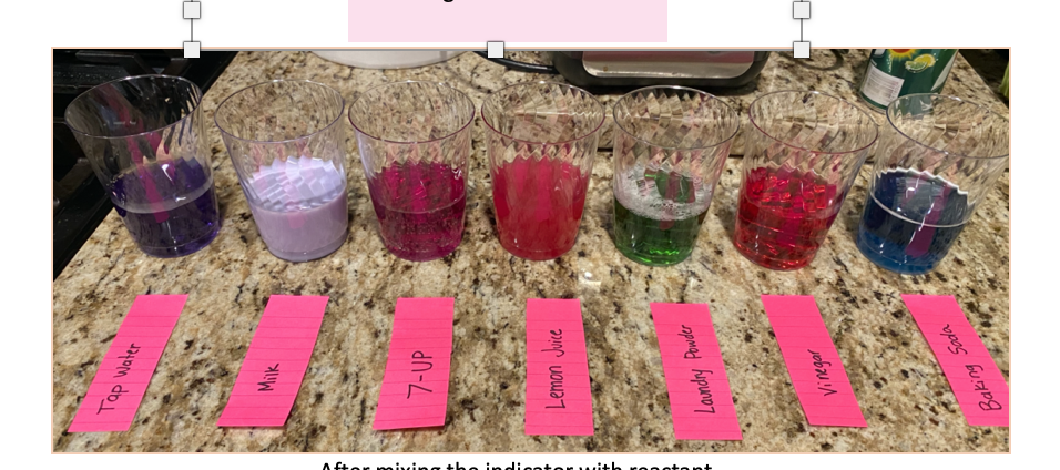 Solved Red Cabbage Color changes with pH 0 8 2 4 10 14 pH | Chegg.com