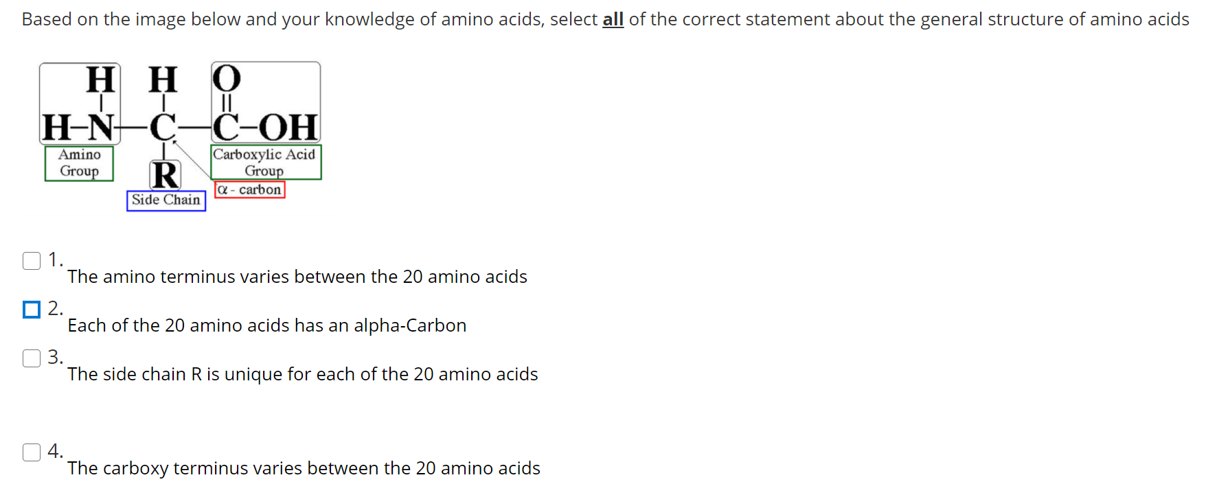 Solved Based on the image below and your knowledge of amino | Chegg.com