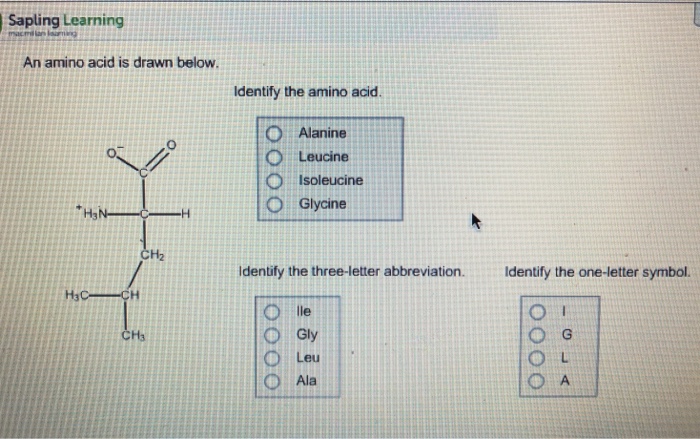 Solved ping Learning An amino acid is drawn below. Identify | Chegg.com