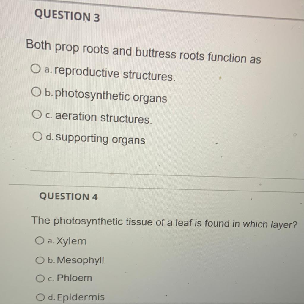 Solved QUESTION 3 Both prop roots and buttress roots | Chegg.com
