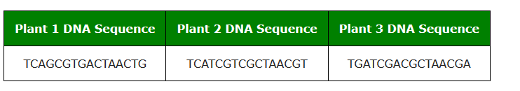 Align dna sequences - polizjesus