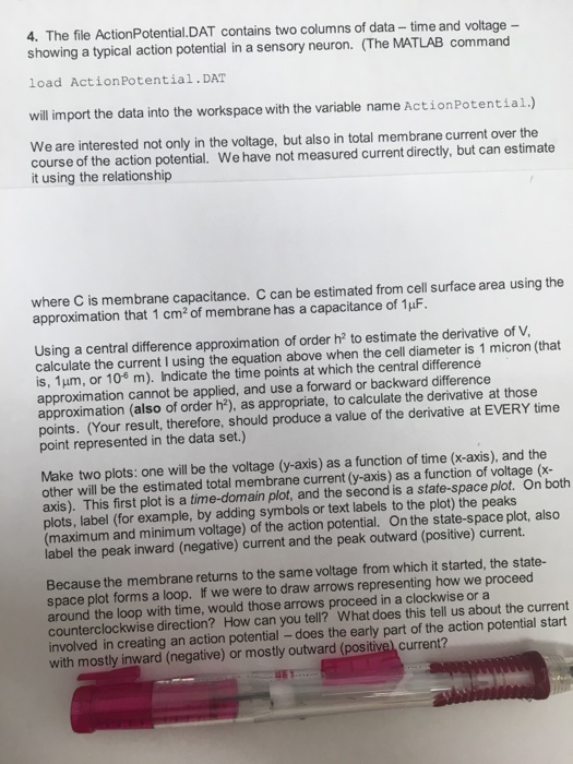 Solved The file ActionPotential.DAT contains two columns of | Chegg.com